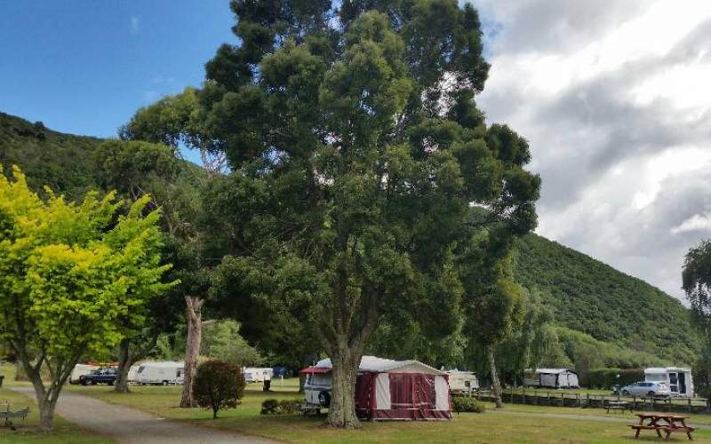 Parklands Marina Holiday Park | Full Service Camp | New Zealand